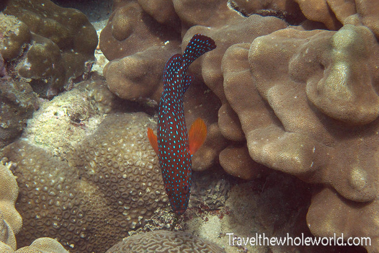 Traveling in Berbera