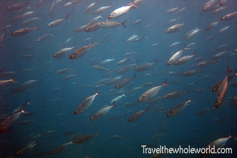 Traveling in Berbera