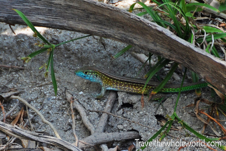 Visiting Tayrona National Park