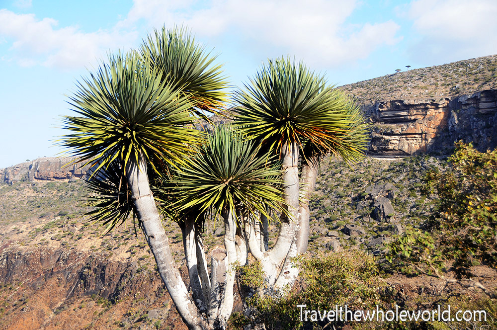 Traveling in Socotra