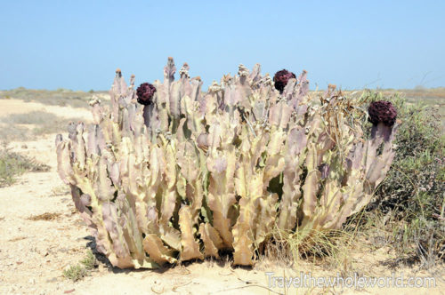 Visiting the Moucha Islands