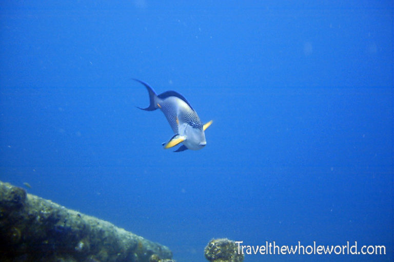 Traveling in Port Sudan