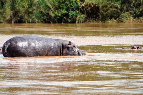 Visiting Rusizi National Park