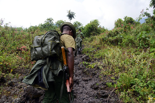 Visiting Virunga National Park