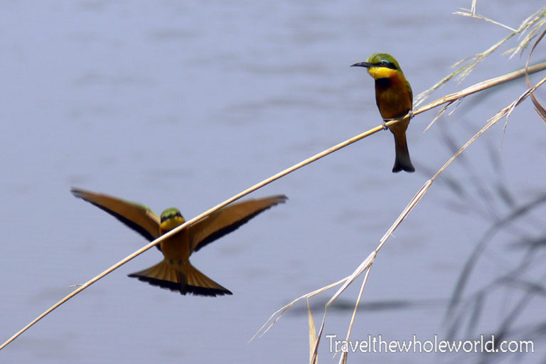 Visiting Dinder National Park