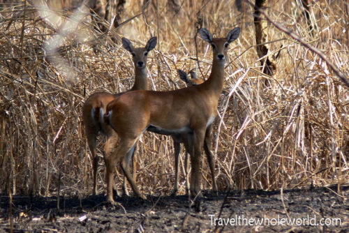 Visiting Dinder National Park