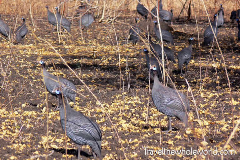 Visiting Dinder National Park