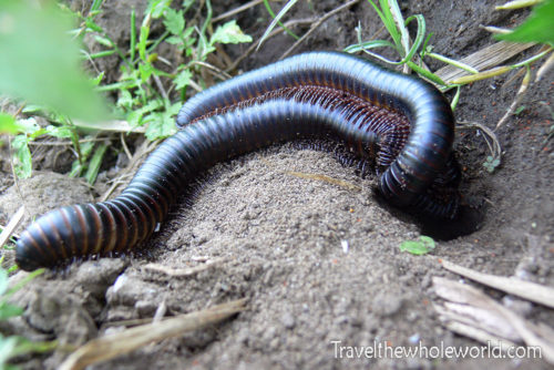 Visiting Dinder National Park