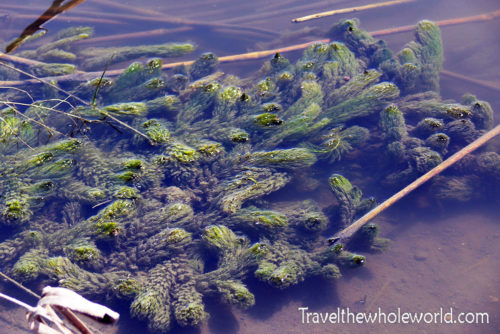 Visiting Dinder National Park