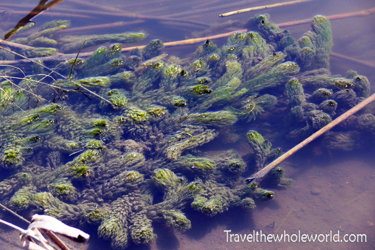 Visiting Dinder National Park