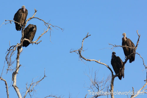 Visiting Dinder National Park