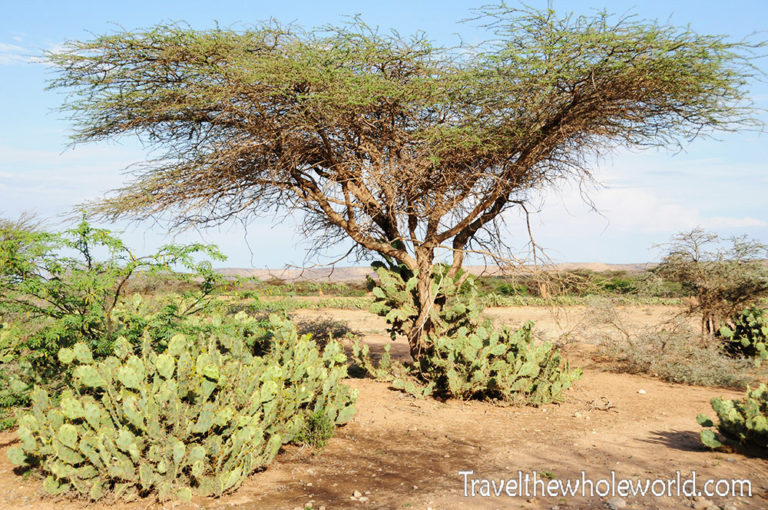 Traveling in Hargeisa