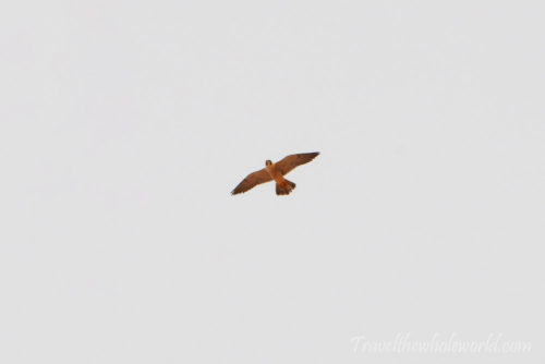 Visiting the Sahara - Travel The Whole World